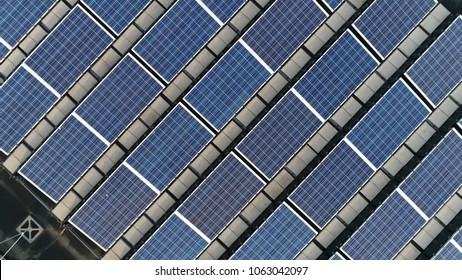 Search: Pv - Partido Verde Logo Vectors Free Download
