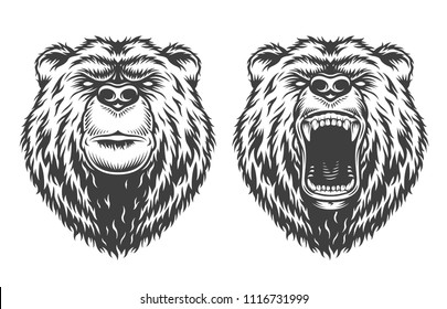 Beartooth Logo Vector (.AI) Free Download