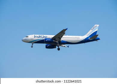 IndiGo airlines Logo Vector (.EPS) Free Download