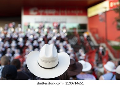 Calgary Stampede 2K wallpaper download