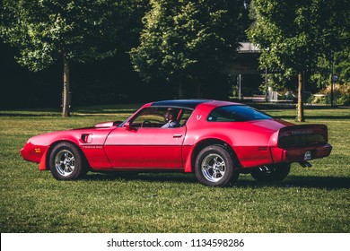 trans am Logo Vector (.EPS) Free Download
