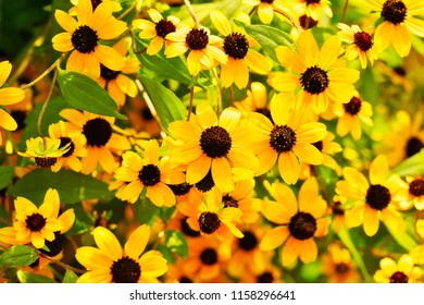 ARAG Logo Vector (.EPS) Free Download