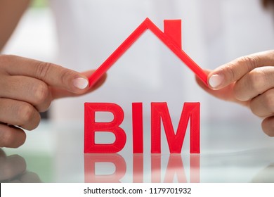 Bims Plus Logo Vector (.EPS) Free Download