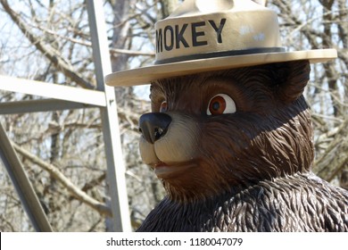 Smokey the Bear Logo Vector (.EPS) Free Download