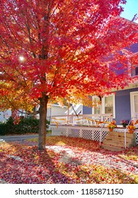 Tree House | Autumn Sunset HD wallpaper download