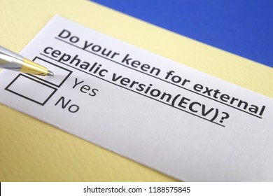 ECV Logo Vector (.CDR) Free Download