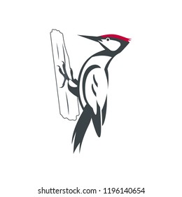 Pica Pau Logo Vector (.CDR) Free Download