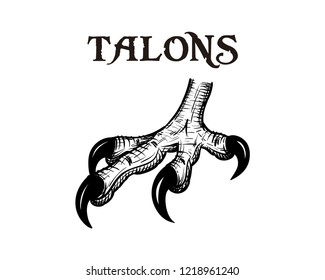 Talon Logo Vector (.EPS) Free Download