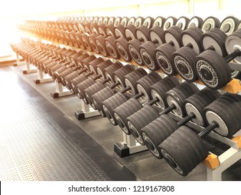 Technogym Logo Vector (.AI) Free Download