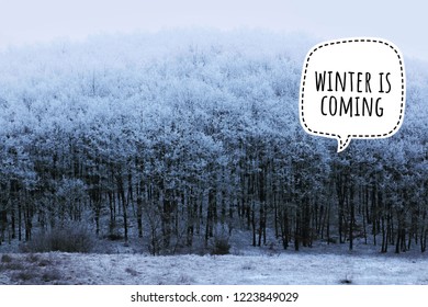 Winter is Coming Here 4K wallpaper download