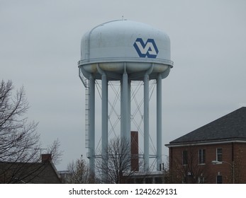 Hines Va Logo