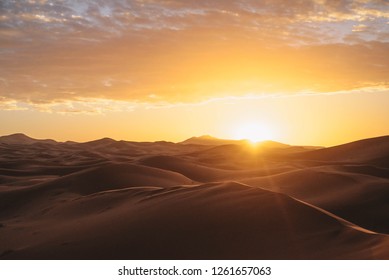 Cactos e pôr do sol no deserto HD baixar papel de parede