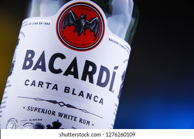 Bacardi Logo Vectors Free Download