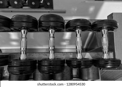 Technogym Logo Vector (.AI) Free Download
