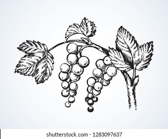Riba Logo Vector (.EPS) Free Download