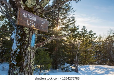 PREMIUM FILES FROM SHUTTERSTOCK