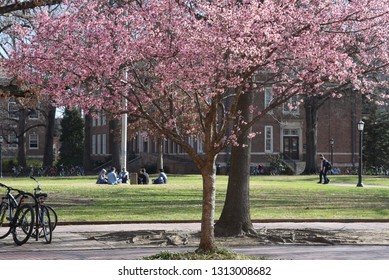 Spring Hill College Logo Vector (.EPS) Free Download