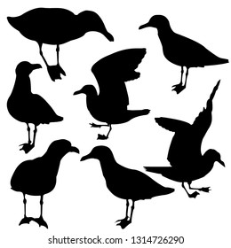 Kormoran Logo Vector (.EPS) Free Download