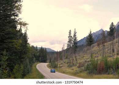 Blue Subaru Impreza on forest road 2K wallpaper download