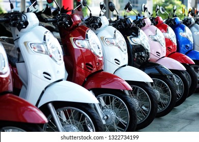 Scoopy Logo Vector (.CDR) Free Download