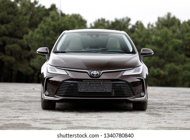 Corolla Logo Vector (.EPS) Free Download