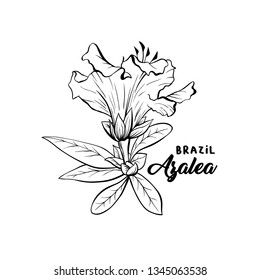 Azaleia Logo Vector (.EPS) Free Download