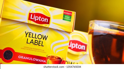 Lipton Logo Vector (.AI) Free Download