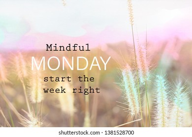 Mindful Monday... HD wallpaper download