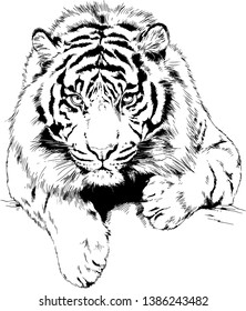 Tiger hand Logo Vector (.AI) Free Download