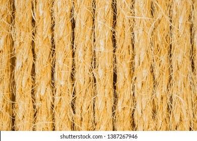 Sisal Logo Vector (.AI) Free Download