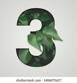 Three Leaves, Three Colors HD wallpaper download