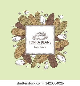 Tonka Logo Vector (.EPS) Free Download