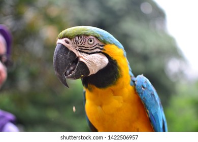 PREMIUM FILES FROM SHUTTERSTOCK
