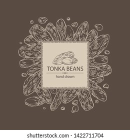 Tonka Logo Vector (.EPS) Free Download