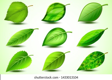 Cerro Verde Logo Vector (.AI) Free Download