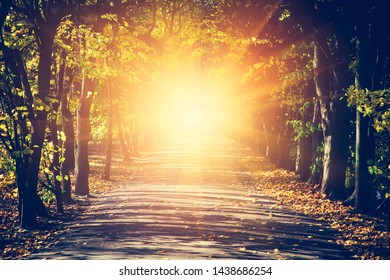 Silhouettes Walking Towards Light: Hopeful Path premium 4K wallpaper ...