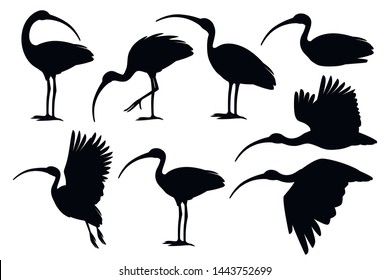 Ibis Logo Vectors Free Download