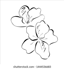 Azaleia Logo Vector (.EPS) Free Download