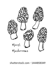 Morel Logo Vector (.EPS) Free Download