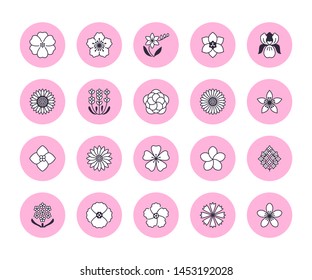 Aster Logo Vector (.EPS) Free Download