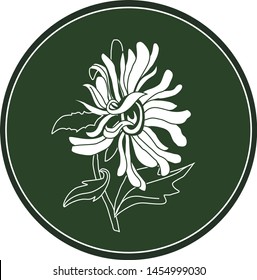 Aster Logo Vector (.EPS) Free Download