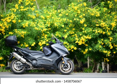 yamaha TMAX Logo Vector (.AI) Free Download