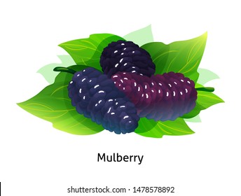 Mulberry Logo Vector (.CDR) Free Download