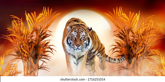 White tiger climbing a tree with red leaves HD wallpaper download