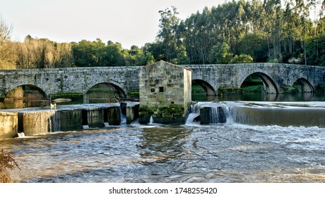 Graceful Heron by Watermill in Autumnal Waterscape premium 2K wallpaper ...