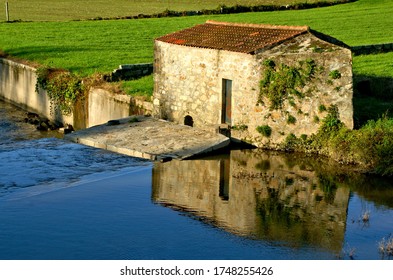 Graceful Heron by Watermill in Autumnal Waterscape premium 2K wallpaper ...