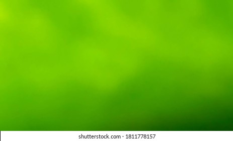 Shades of green widescreen background for pc's, laptop's and desktops ...