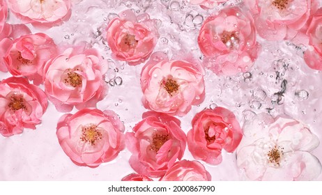 Woman with red rose lying in water 2K wallpaper download