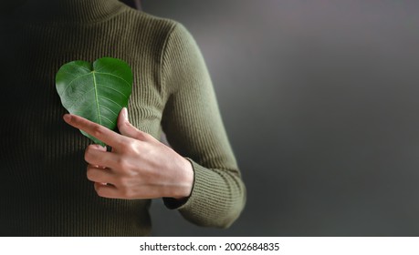 Sincere HD wallpaper download