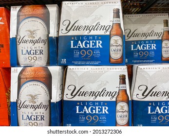 Yuengling Logo Vector